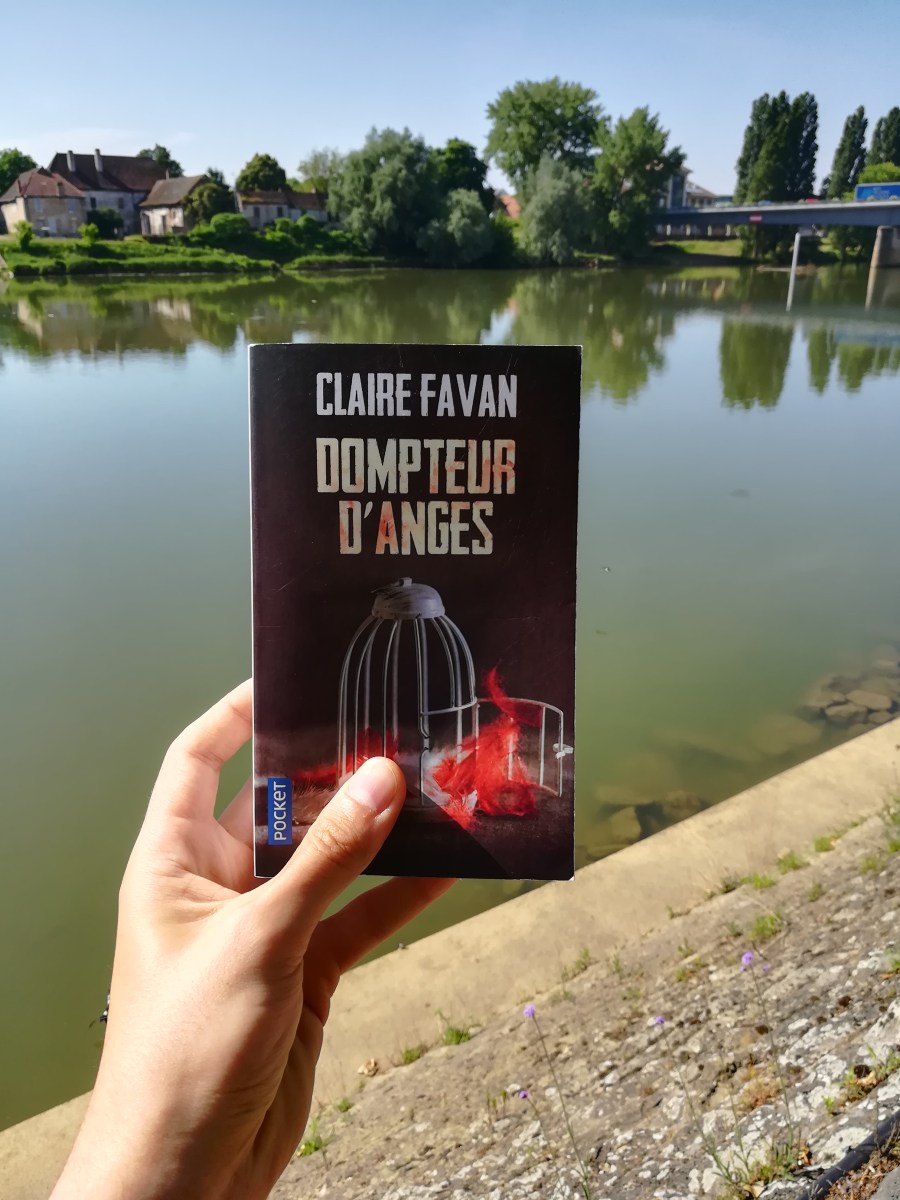 Dompteur d’anges de Claire Favan – Tomabooks