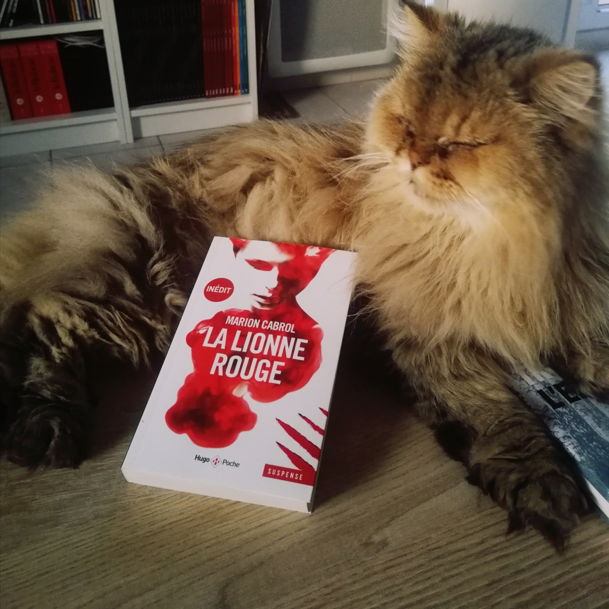 La lionne rouge de Marion Cabrol: Joker ? – Tomabooks