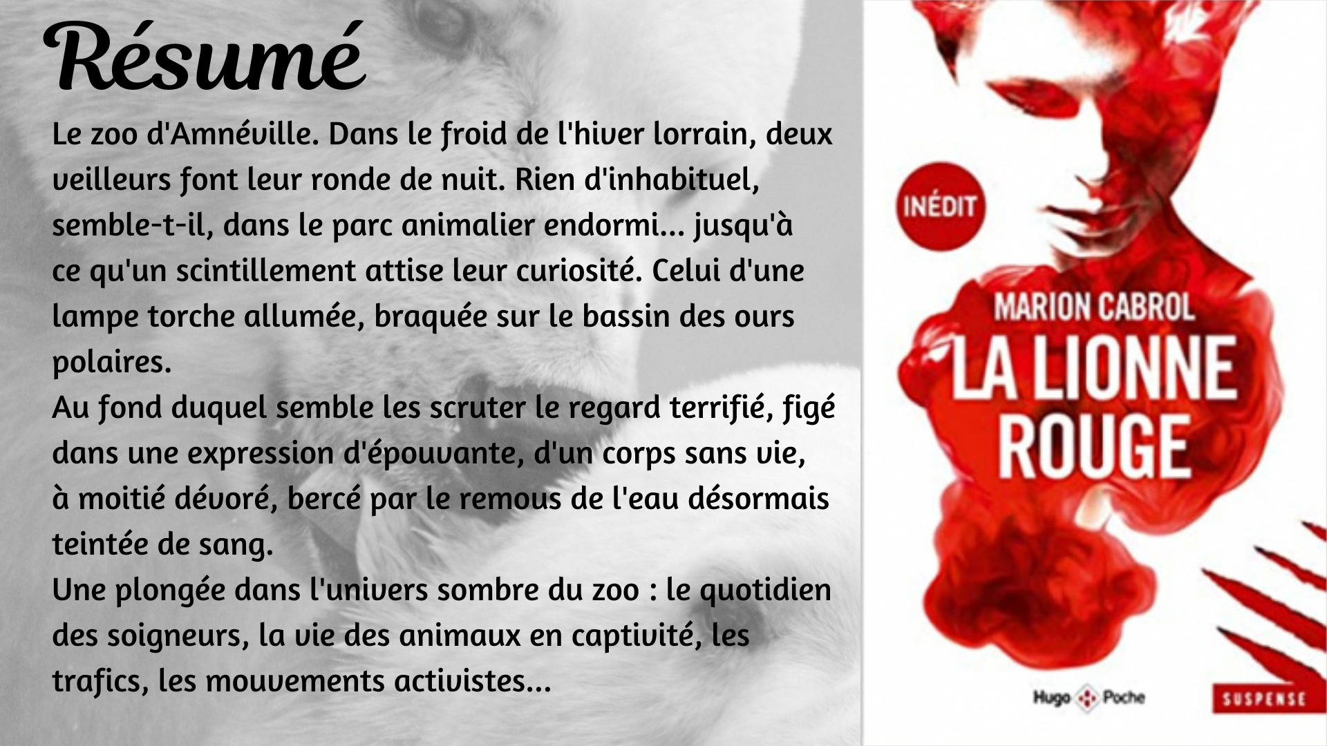 La lionne rouge de Marion Cabrol: Joker ? – Tomabooks