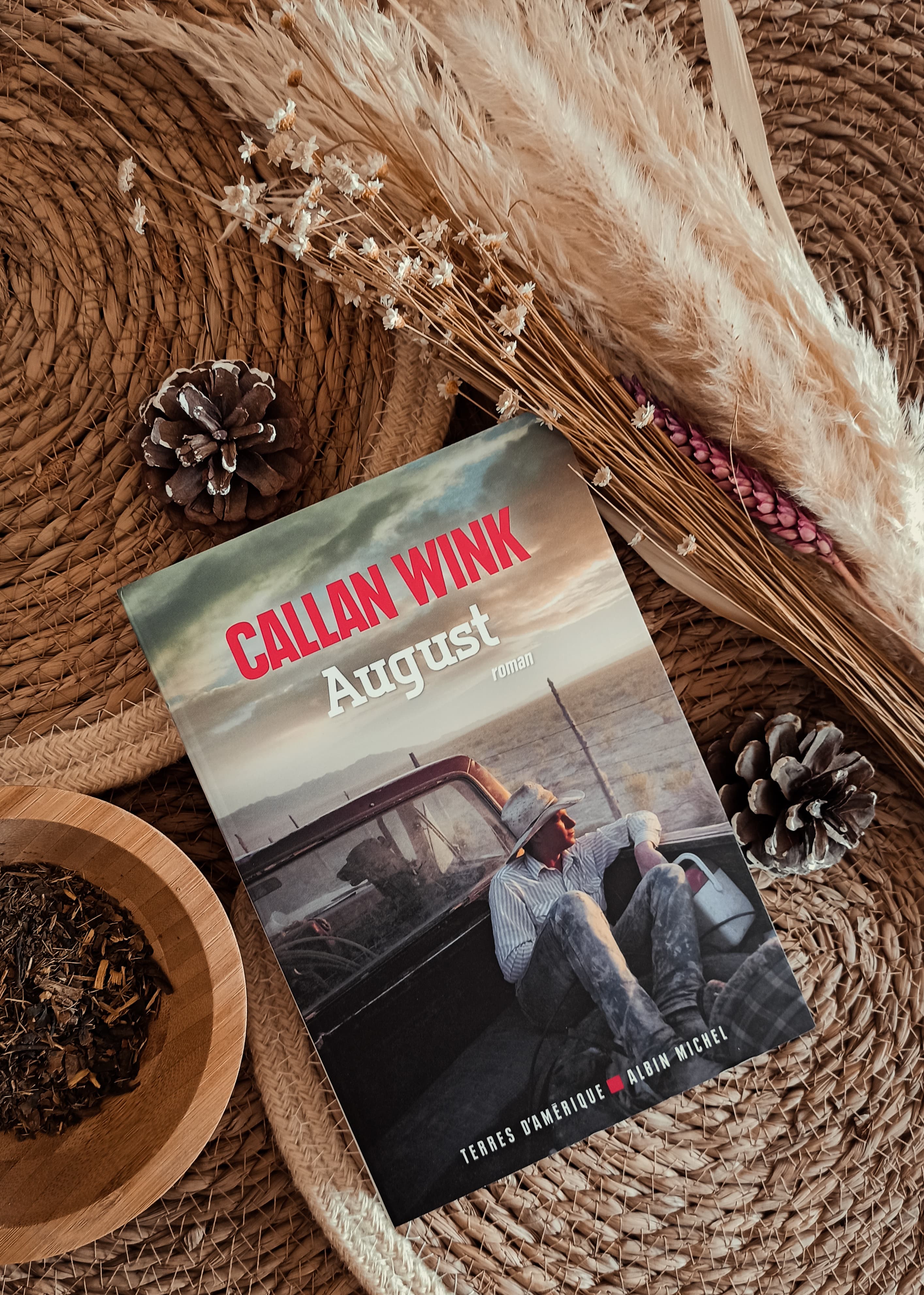 August de Callan Wink : un roman qui pousse à prendre son temps – Tomabooks